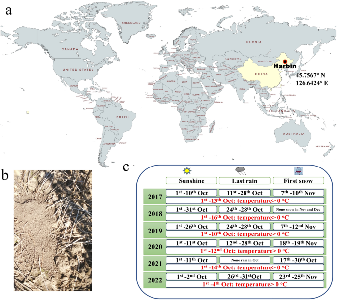 Wild rodents seed choice is relevant for sustainable agriculture ...