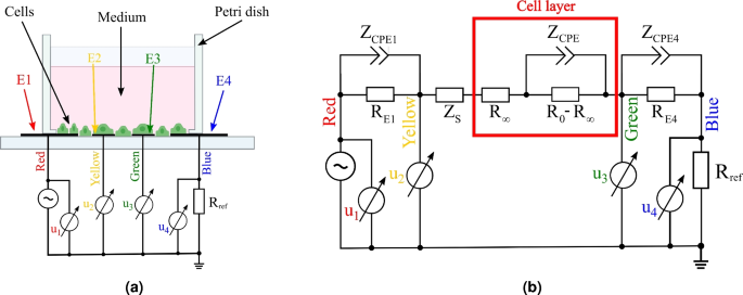 Reproducibility analysis of bioimpedance-based self-developed live cell ...