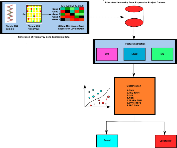 Metaheuristic integrated machine learning classification of colon cancer using STFT LASSO and ...