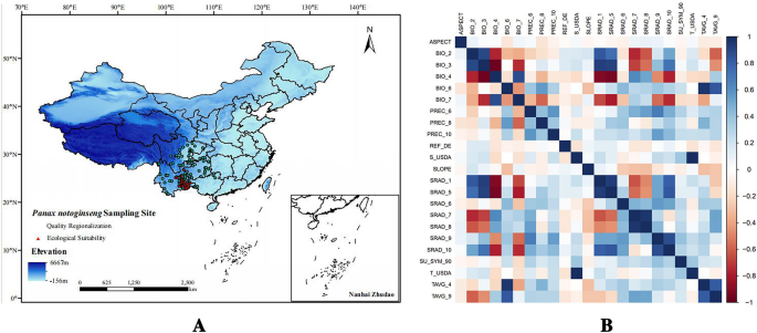 Prediction of Chinese suitable habitats of Panax notoginseng under climate change based on ...