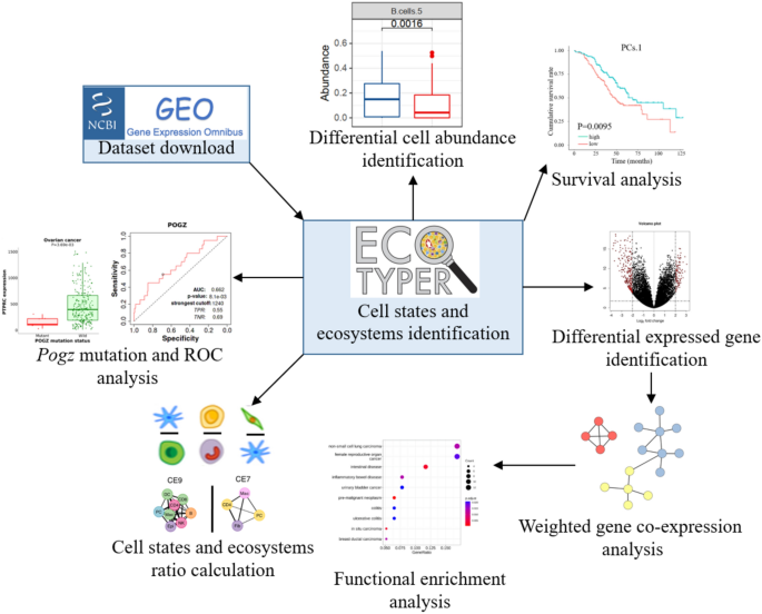 Immune cell landscapes are associated with high-grade serous ovarian ...