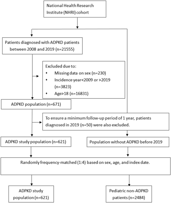 Overview of clinical status, treatment, and long-term outcomes of ...