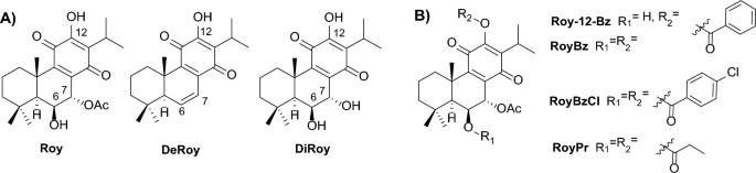Extraction optimization and reactivity of 7α-acetoxy-6β ...