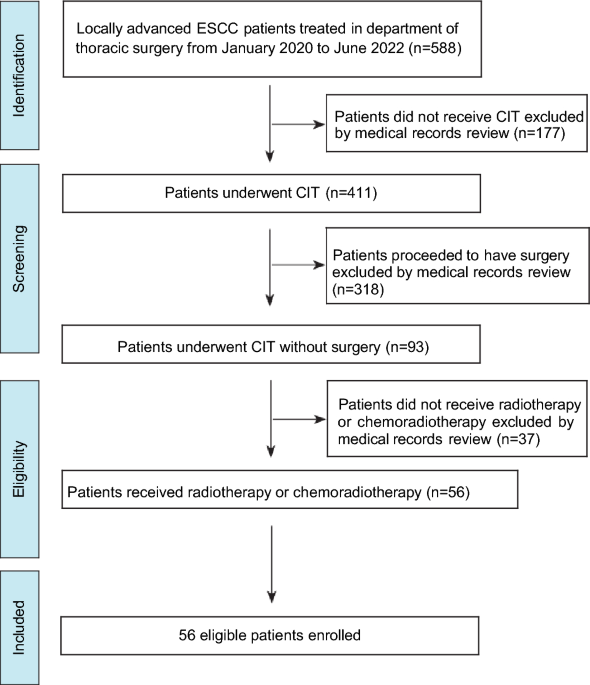 Radiotherapy for patients with locally advanced esophageal squamous ...