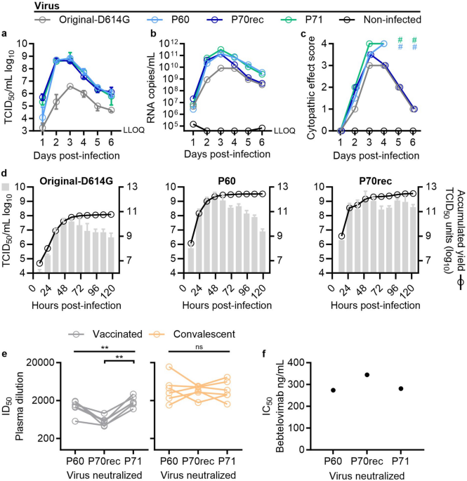 An inactivated SARS-CoV-2 vaccine based on a Vero cell culture-adapted ...
