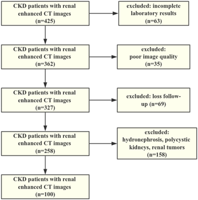 AI-based segmentation of renal enhanced CT images for quantitative evaluate of chronic kidney ...