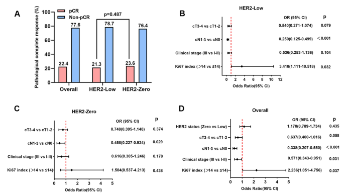 Efficacy and prognosis of HER2-Low and HER2-Zero in triple-negative ...