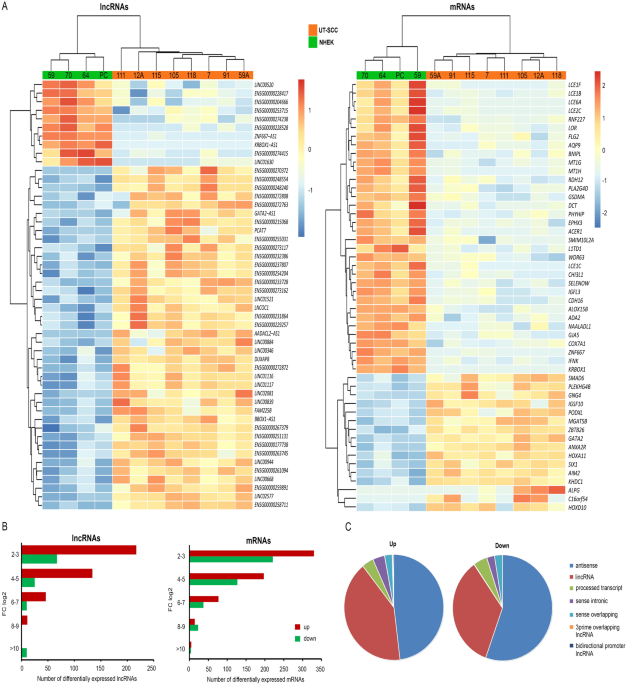 Clustering of RNA co-expression network identifies novel long non-coding RNA biomarkers in ...