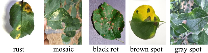 An improved YOLOv5-based apple leaf disease detection method ...