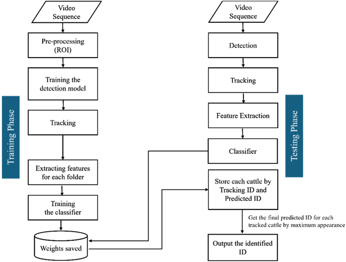 AI-enhanced real-time cattle identification system through tracking ...