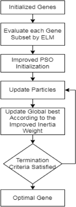 A gene selection algorithm for microarray cancer classification using an improved particle swarm ...
