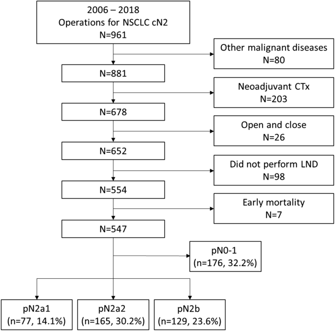 Risk prediction of multiple-station N2 metastasis in patients with ...