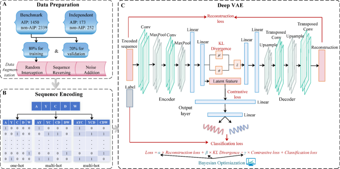 A deep learning model for anti-inflammatory peptides identification ...