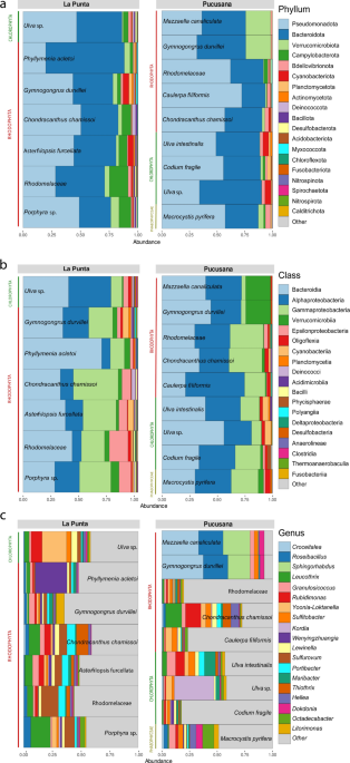 Functional prediction based on 16S rRNA metagenome data from bacterial microbiota associated ...