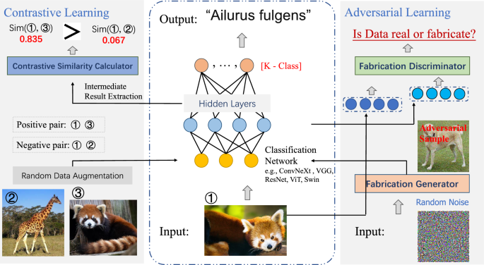 A veracity dissemination consistency-based few-shot fake news detection ...