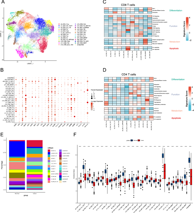 Integrated single-cell and bulk RNA-seq analysis identifies a prognostic T-cell signature in ...