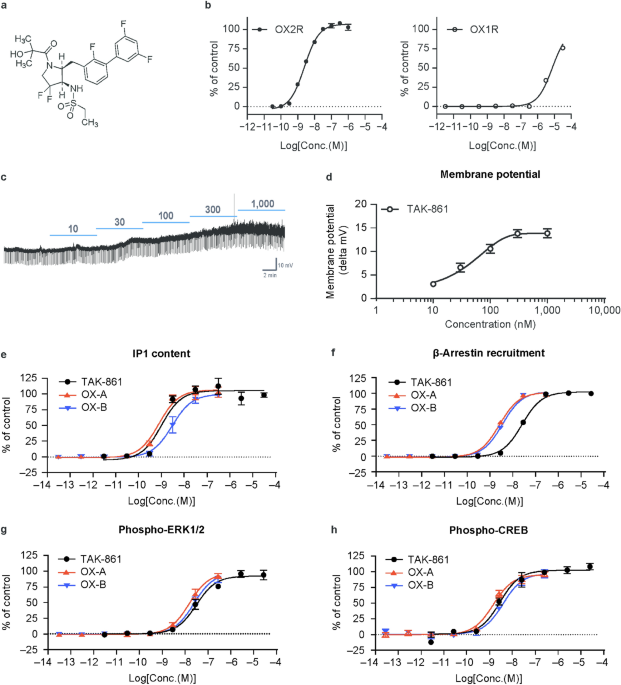 TAK-861, a potent, orally available orexin receptor 2-selective agonist ...
