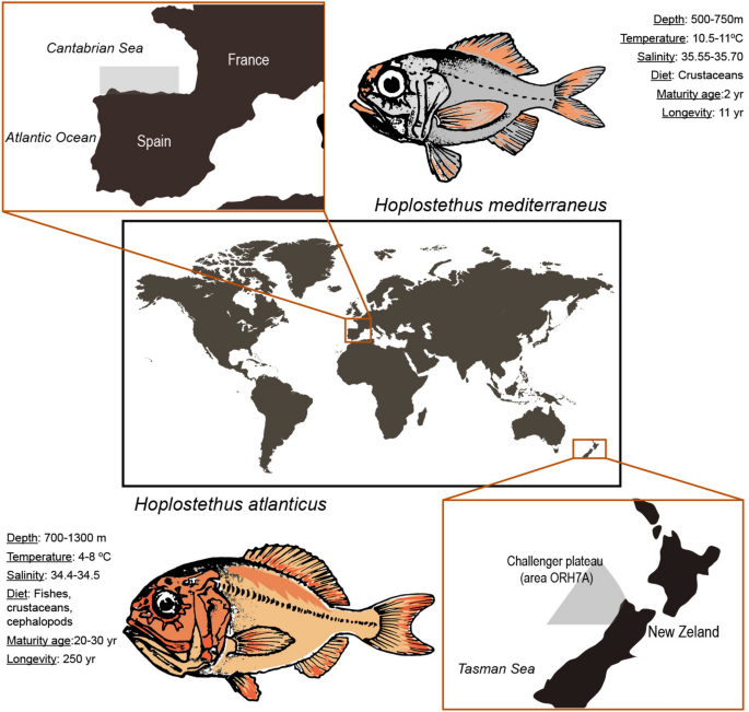 Insights into aging mechanisms from comparative genomics in orange and ...