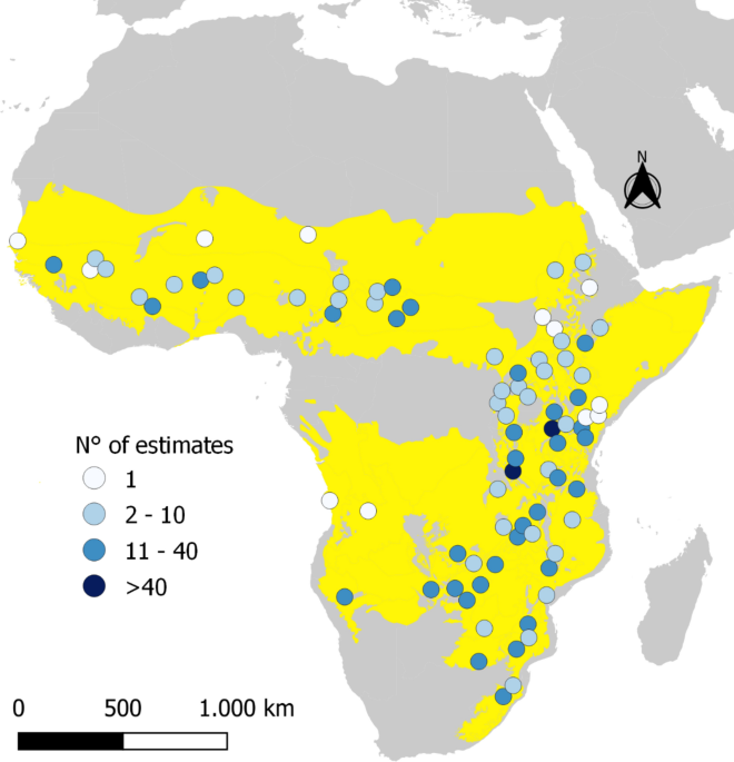 The role of species interactions in shaping the geographic pattern of ...