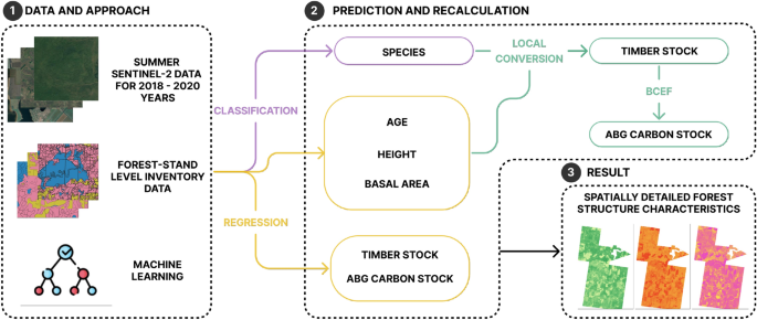 Advancing forest carbon stocks’ mapping using a hierarchical approach ...