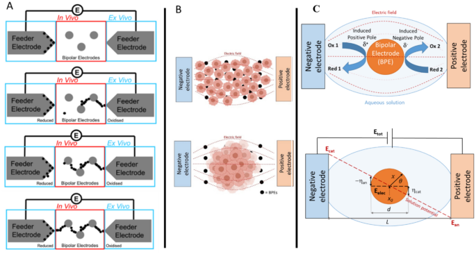 Bipolar electrochemical growth of conductive microwires for cancer ...