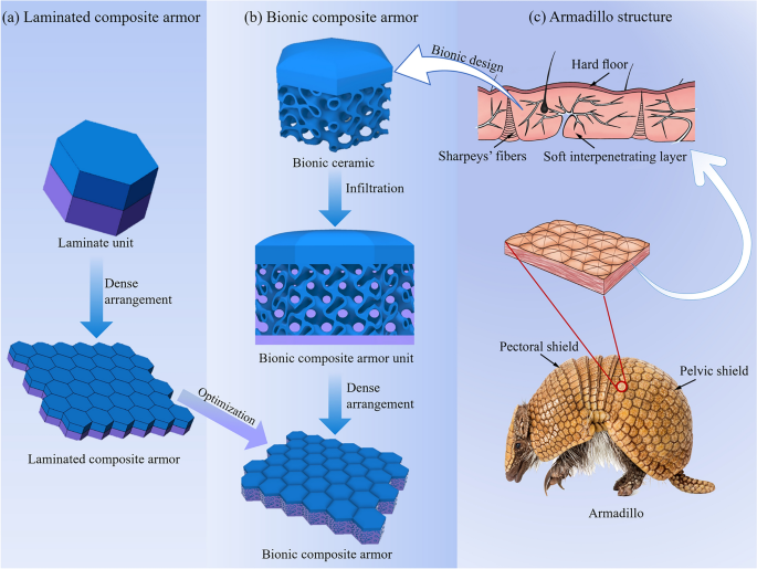 Biomimetic design and impact simulation of Al2O3/Al composite armor based on armadillo shell ...