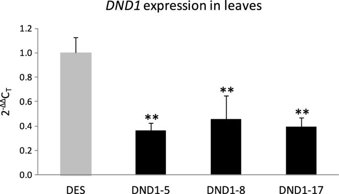 Transcriptome, hormonal, and secondary metabolite changes in leaves of ...