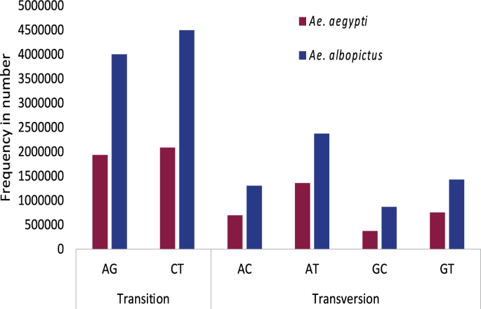 Genome resequencing and genome-wide polymorphisms in mosquito vectors ...