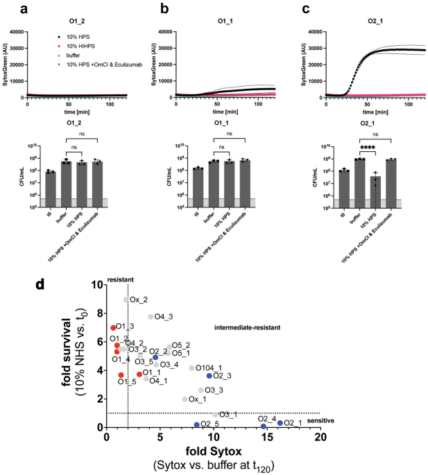 Klebsiella LPS O1-antigen prevents complement-mediated killing by ...