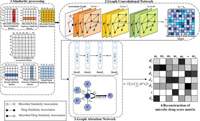Microbe-drug association prediction model based on graph convolution ...