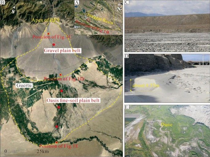 Fluvial fan sedimentary characteristics of distributive fluvial system ...