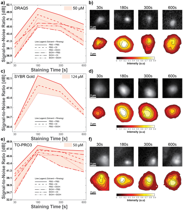 Quantitative and comparative assessment of dyes and protocols for rapid ...