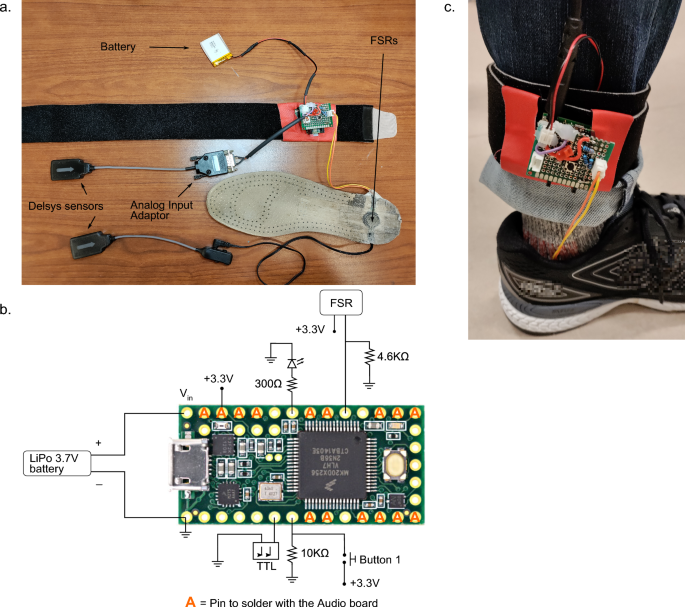 The Ramp protocol: Uncovering individual differences in walking to an ...