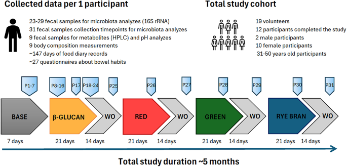 The gut microbiota of healthy individuals remains resilient in response ...