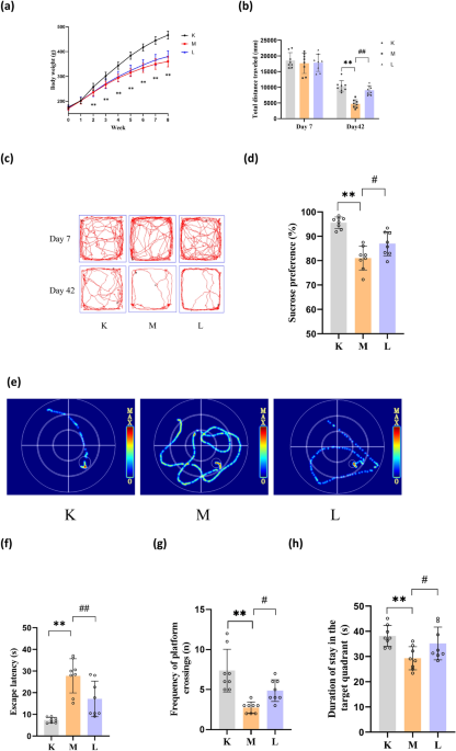 Investigating the modulatory effects of lactoferrin on depressed rats ...