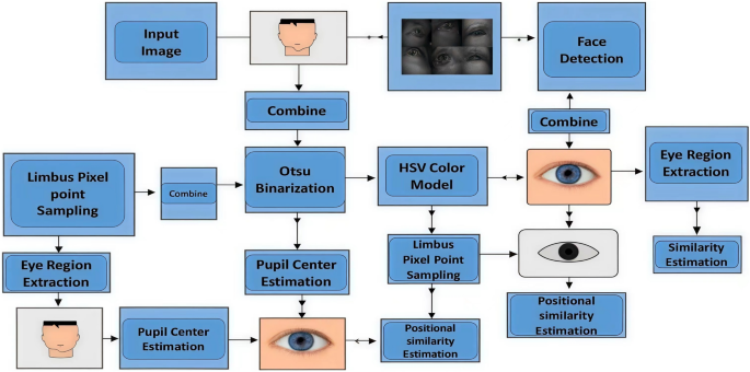 A retinal detachment based strabismus detection through FEDCNN | Scientific Reports