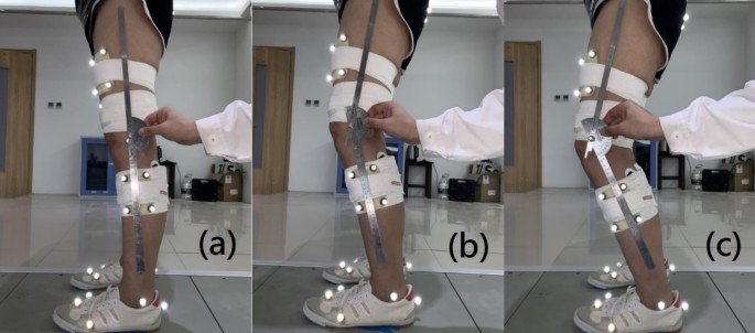 The influence of knee position during static calibration trials on ...
