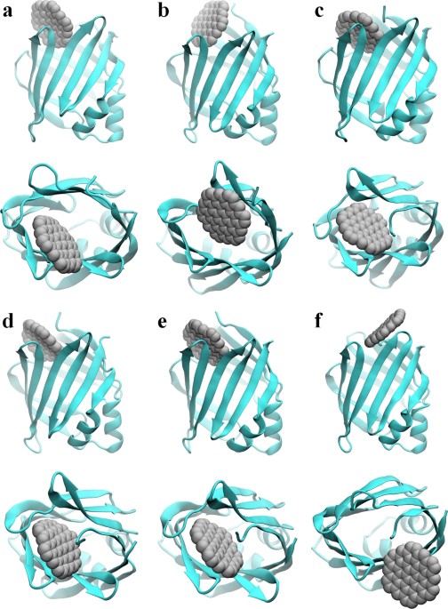 Potential toxicity of Graphene (Oxide) quantum dots to human intestinal ...