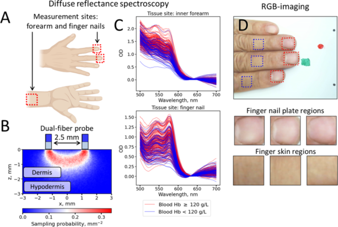 Diffuse reflectance spectroscopy and RGB-imaging: a comparative study ...