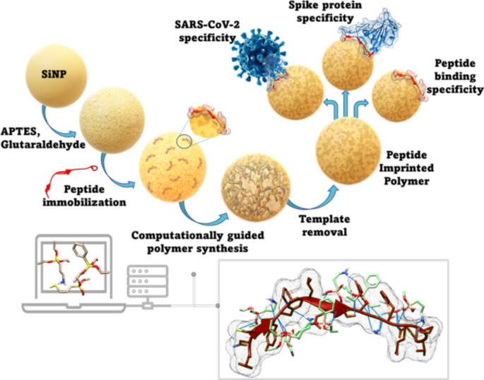 Rational design based on multi-monomer simultaneous docking for epitope imprinting of SARS-CoV-2 ...