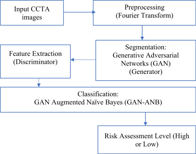 GAN-Augmented Naïve Bayes for identifying high-risk coronary artery ...