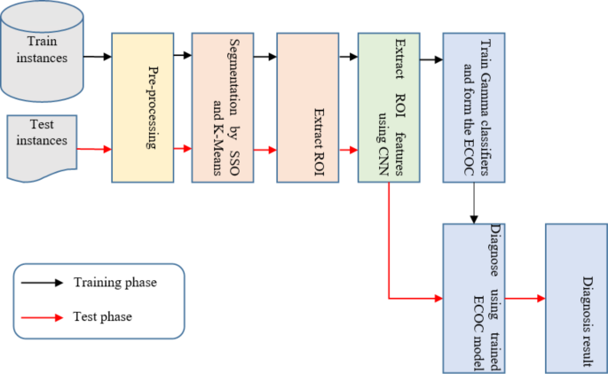 Diagnosing skin cancer using social spider optimization (SSO) and error correcting output codes ...