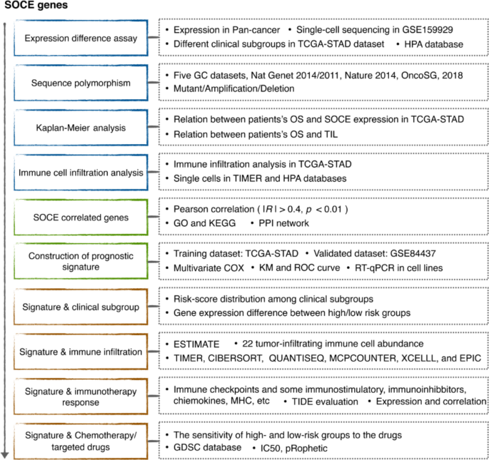 Construction of store-operated calcium entry-related gene signature for predicting prognosis and ...