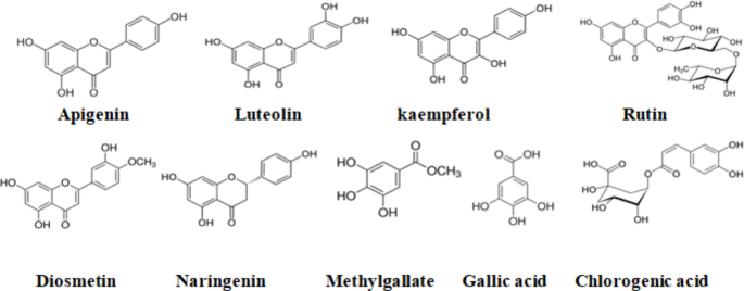Biochemical and biological studies of irradiated and non-irradiated ...