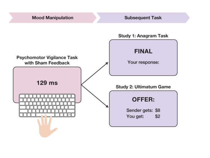 Decoding The Influence Of Emotional And Attentional States On Self