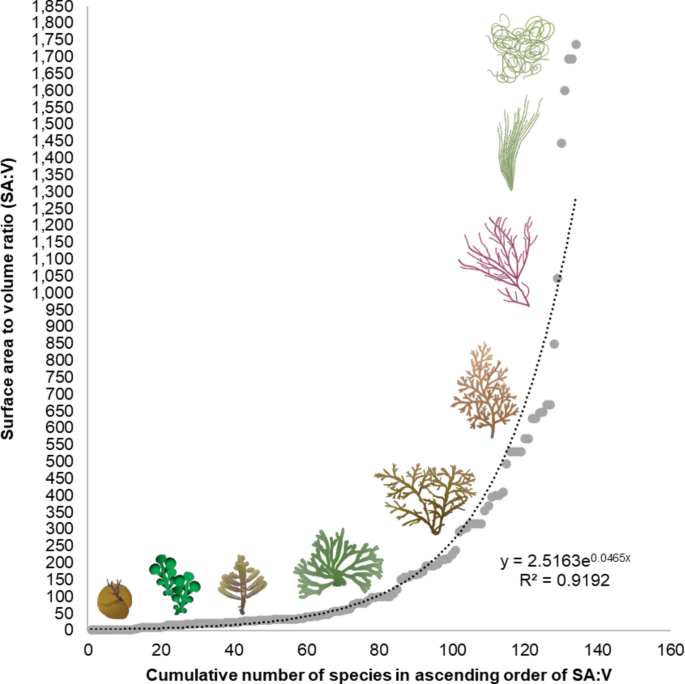 The distribution of seaweed forms and foundational assumptions in ...