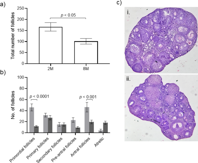 Advanced maternal age affects their frozen-thawed embryo susceptibility ...