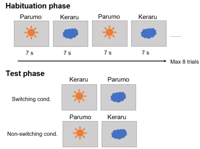 Rapid formation of picture-word association in cats | Scientific Reports