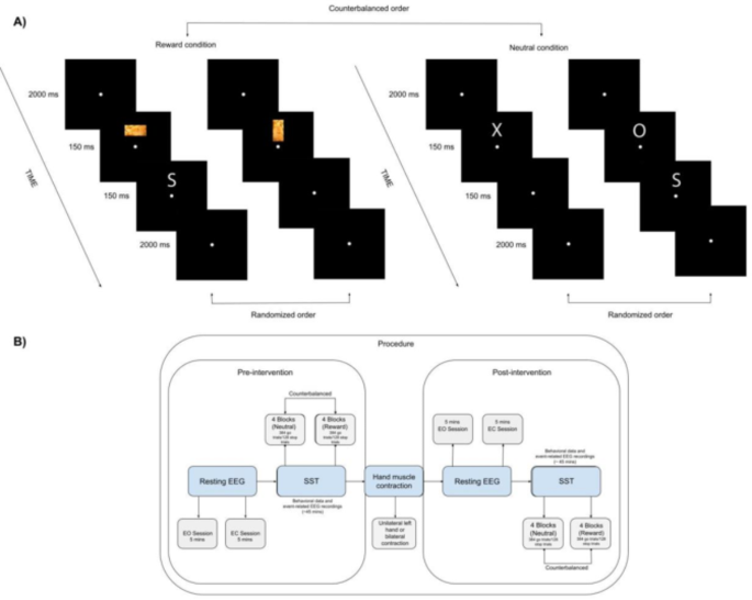 The effect of unilateral hand muscle contraction on frontal alpha ...
