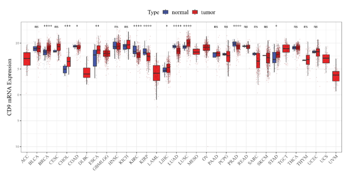Bioinformatics investigation of the prognostic value and mechanistic ...